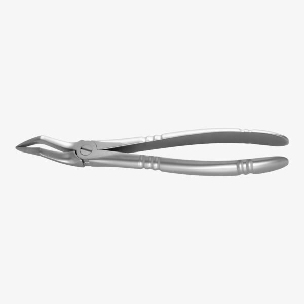 Witzel Universal Root Forceps /Root Tip Forceps /Extracting Forceps ...