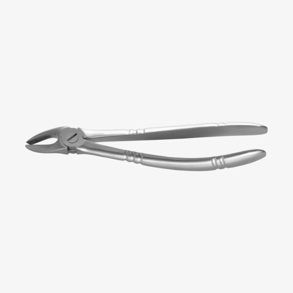 Witzel Universal Root Forceps /Root Tip Forceps /Extracting Forceps ...